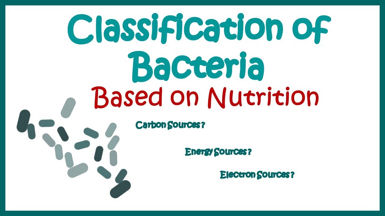 Classification of bacteria based on nutrition I Nutritional classification of bacteria | #animated