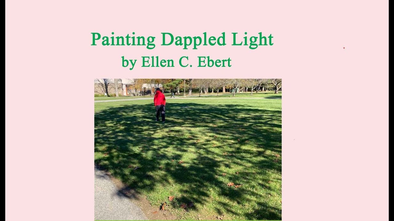The 5 variables affecting dappled light