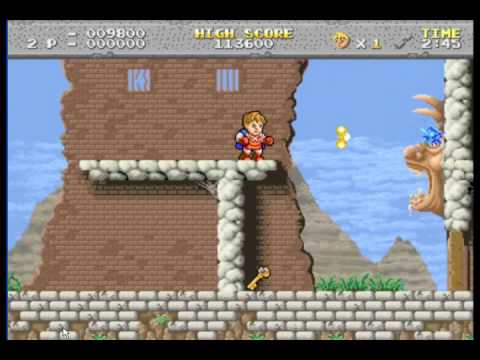 Legend Of Hero Tonma - Videogame by Irem | Museum of the Game