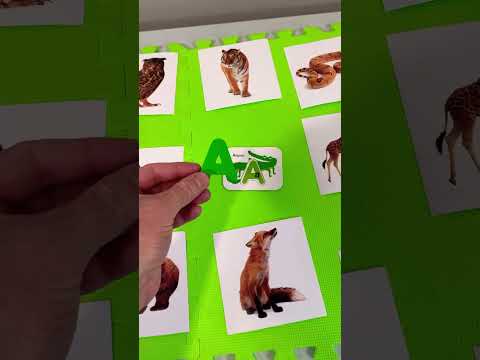 Letter A is for Alligator Matching Letters with Wild Zoo Animal Pictures #shorts