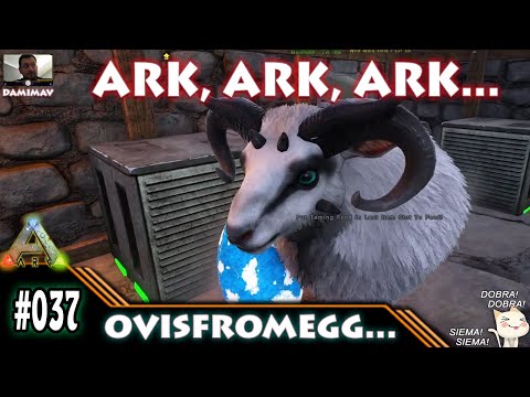 Steam Community :: Video :: ARK, ARK, ARK - OVIS FROM EGG... #ARK #037