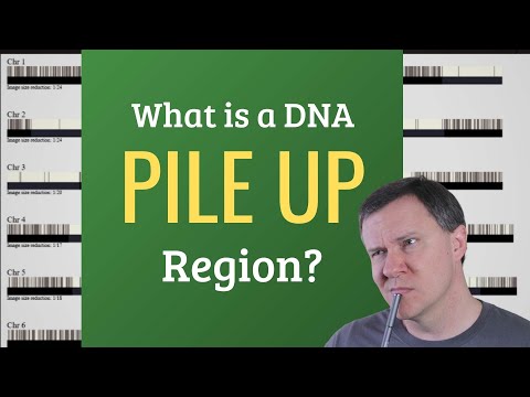 What is a Pileup Region in Genetic Genealogy?