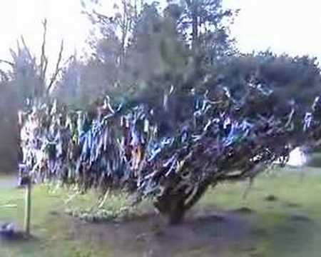 The Prayer Tree | praypower4today