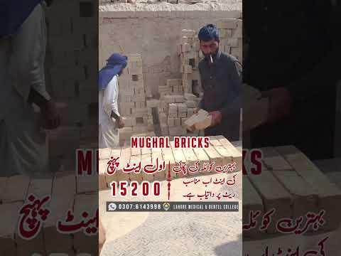 How Millions Are Trapped Modern day slavery At Bricks kilns in pakistan 2023