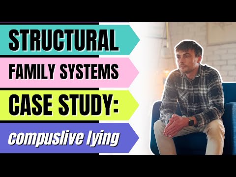 family case study: psychology of lying. structural systems theory