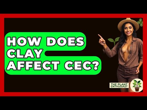 How Does Clay Affect CEC? - The Plant Enthusiast