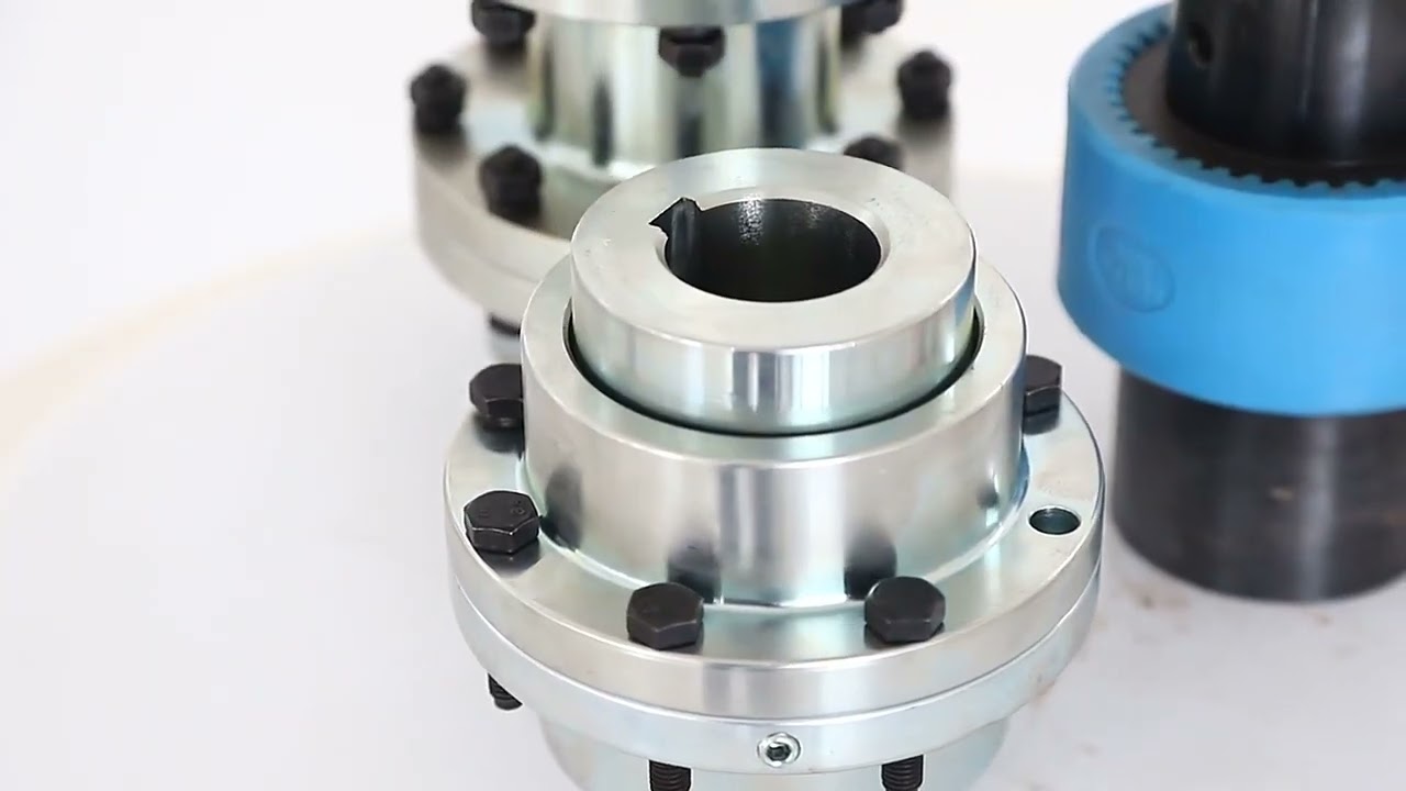Drum Gear Coupling--JUDE Coupling