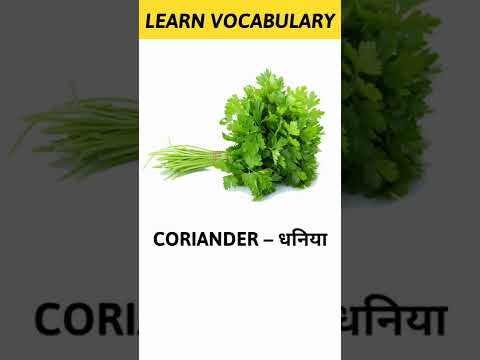 Coriander Meaning in Hindi | Learn Vocabulary Shorts