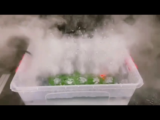 Mist Maker - 5 Head Sensor Mist Maker (Made In India) Manufacturer from ...