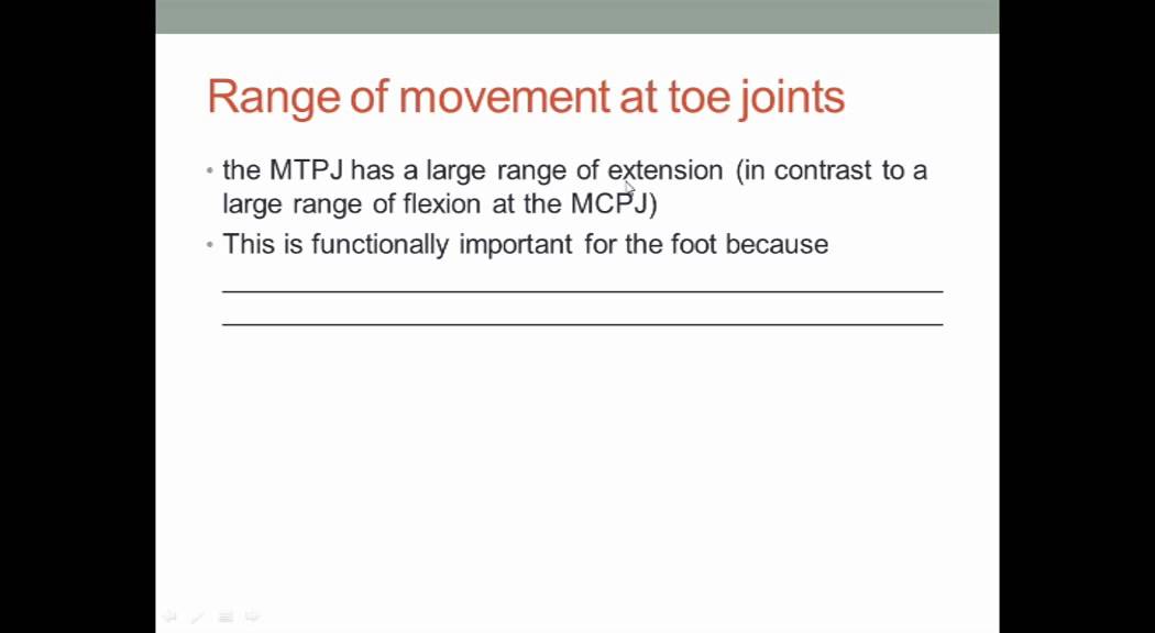 Understanding the Anatomy and Function of Toe Joints | Galaxy.ai