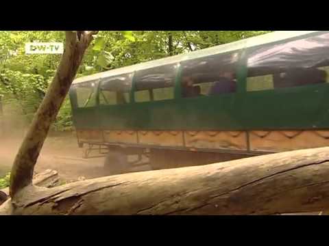Quaint villages and unspoiled nature | Video of the day
