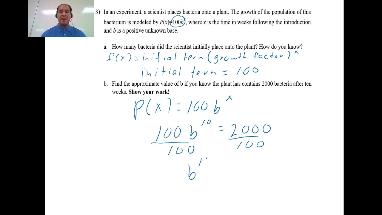 Problem 3 - Exponential Functions
