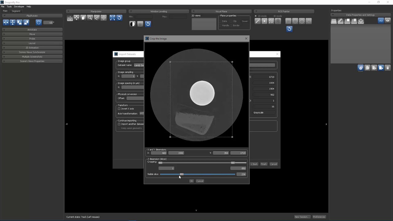 Image Import in Dragonfly
