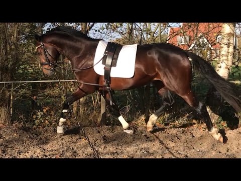 *2020 Hengst v. Spielberg x Jazz x Ferro