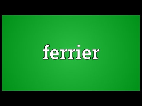 Ferrier Meaning