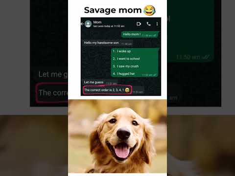 The Dog woke himπ€£π€£πππΆ #shorts #memes #dog