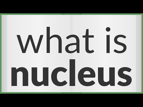 Nucleus | meaning of Nucleus