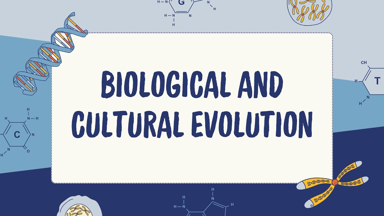 Biological and Cultural Evolution