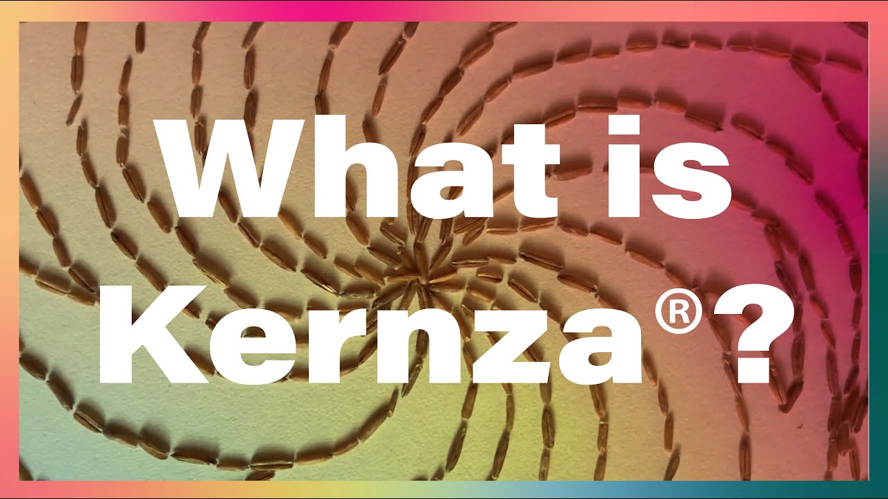 Kernza® in Context: Intro to Kernza®