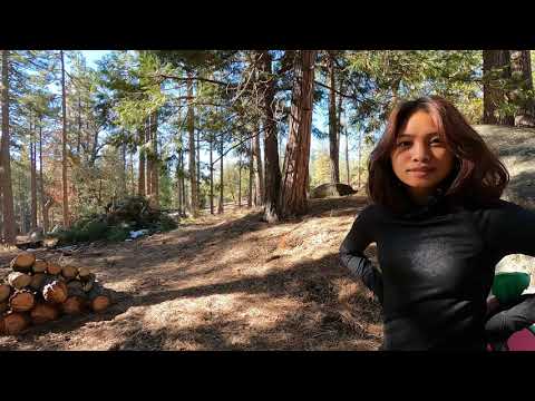 Camping and great views in Idyllwild, CA.