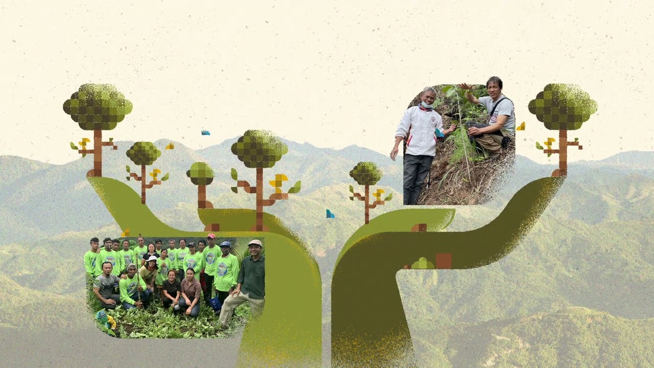Forest Foundation Philippines Institutional Video (2023)