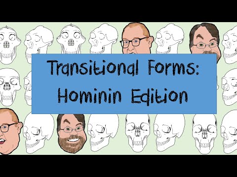 Episode 9: Transitional Forms, Hominin Edition