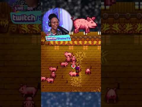 Newly Bought Pigs in Stardew Valley | #stardewvalley #twitch #gaymer