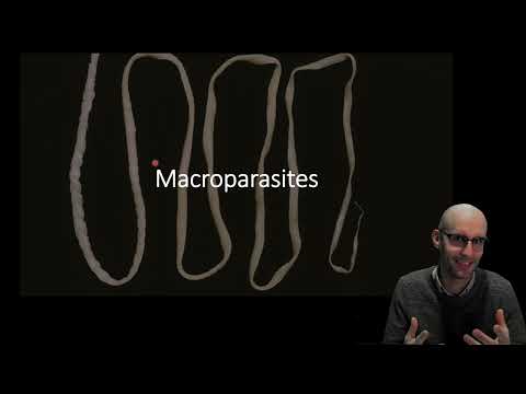 An introduction into Macroparasites