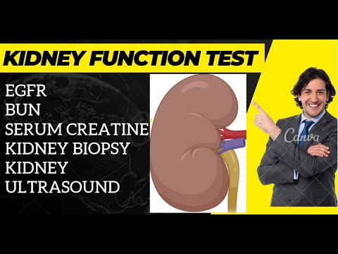 Kidney Function Test | Renal Function Test | @BiologyLectures |