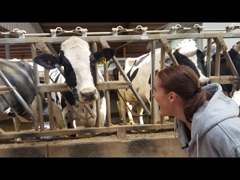 Technology in Motion - Dairy Science