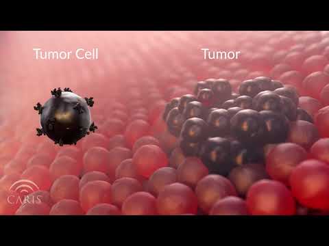What Causes Cancer? | Central Principles of Molecular Biology