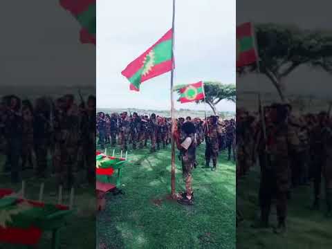 Alaabaa Oromoo ibsituu dukkanaa-2025(Official video) #highlights #everyone #oromia