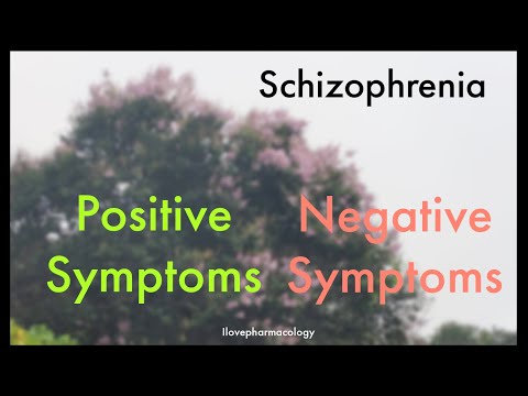 Schizophrenia Positive And Negative Symptoms