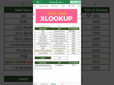 Xlookup with Wild Card #excel2024