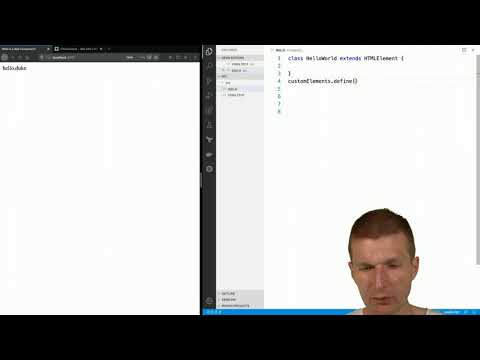 What is a Custom Element / Web Component?