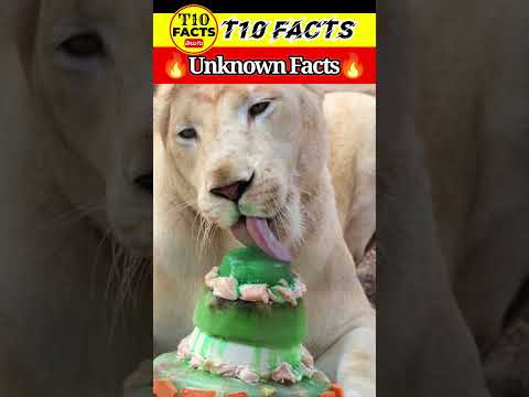 ????Top 3 Unknown facts???? | Amazing Facts in Telugu | T10 Facts #shorts #telugufacts #vrfacts #viral