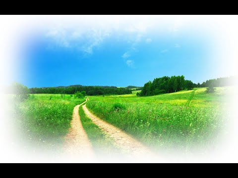 How to Blur The Edges of an Image in Photopea