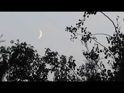 New Moon Prayer to Goddess Selene