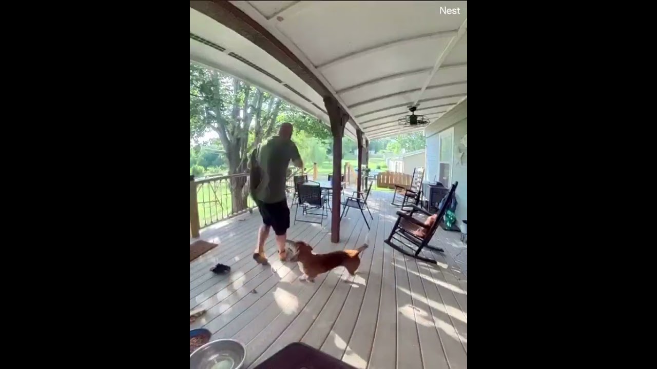Doorbell camera catches man getting attacked by a squirrel. Have you ever seen a squirrel like this?