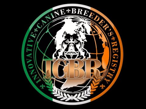 IBRR SHOW Registration FORM – IrishBullyTV