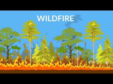Wildfires || wildfires reasons