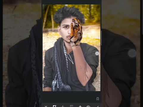 tiger photo editing 2022 new PicsArt autodesk