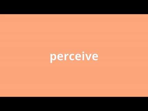 what is the meaning of perceive
