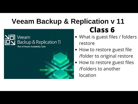 How to restore individual files /folders from veeam backup: veeam guest file restore -2022