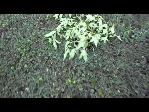 Hampton Va. Storm Damage 6-13-13