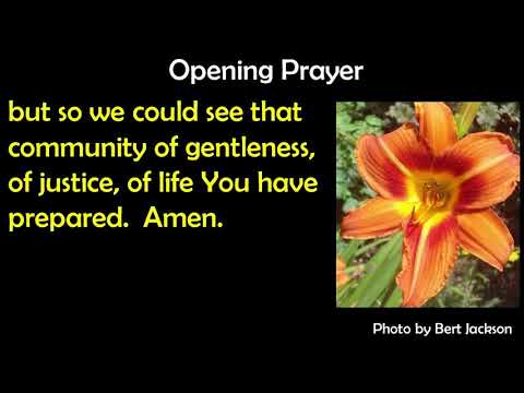 Blameless and Upright