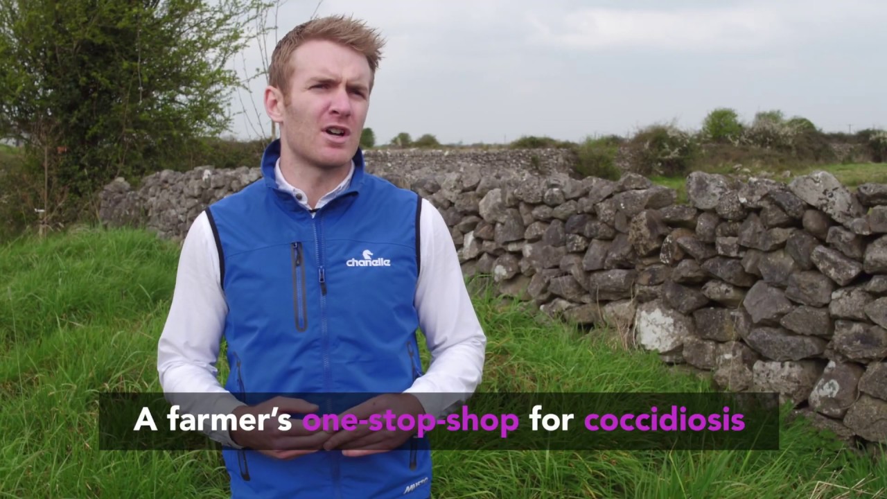 Video | Dycoxan Arrives in Ireland | Farm Health First