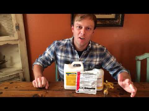 Best goat dewormer