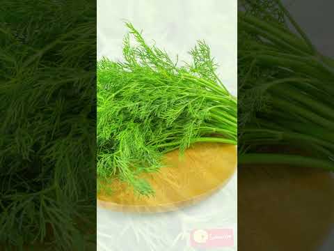 πΏπ Amazing Health Benefits Of Dill Herb