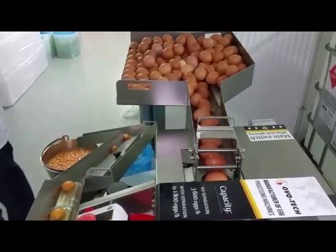 Egg breker RZ-1 for customer from Benelux. Created by OVO-TECH, Poland, EU